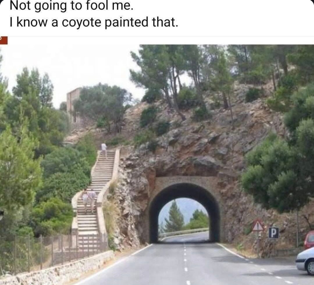 The best Coyote memes :) Memedroid