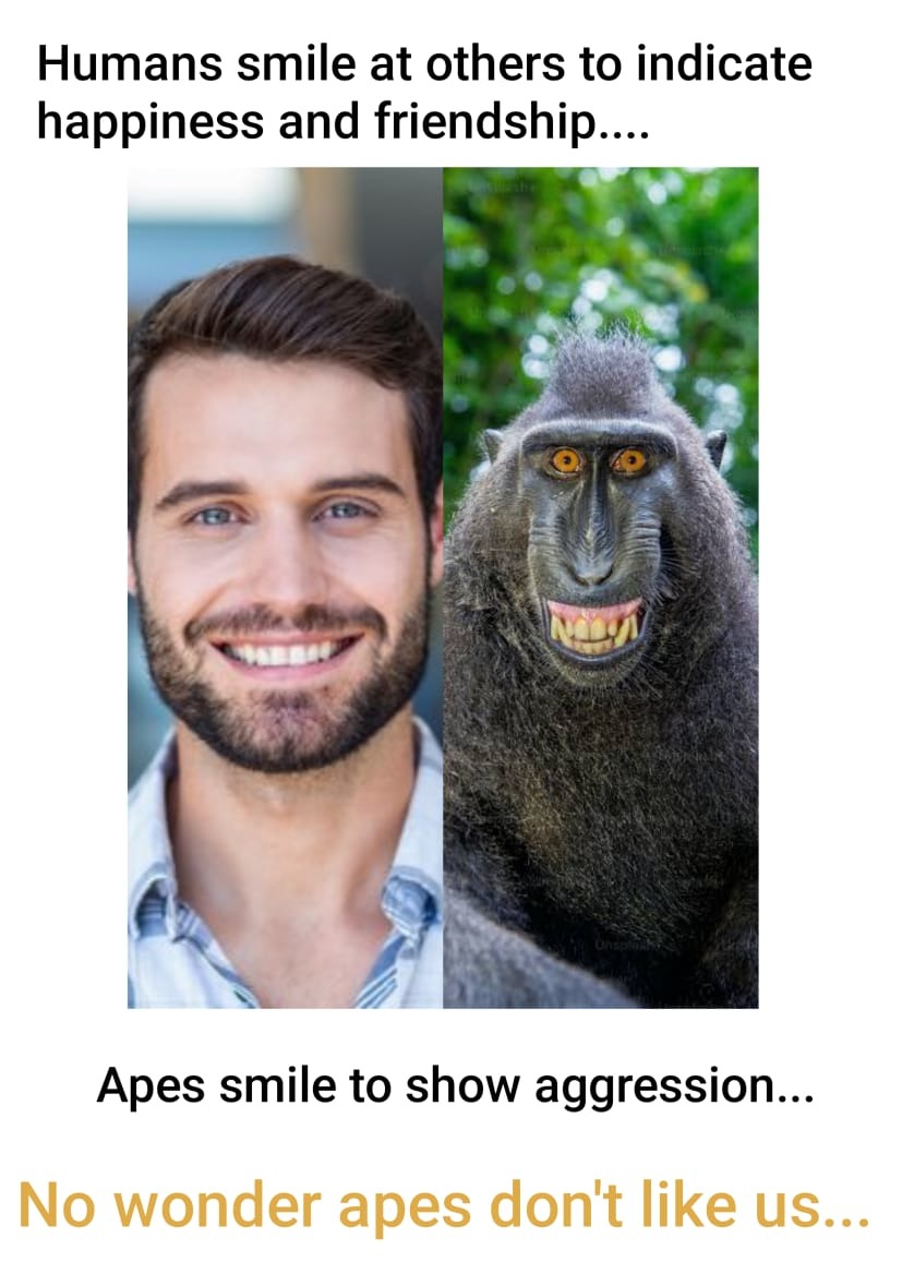 The best Smile memes :) Memedroid