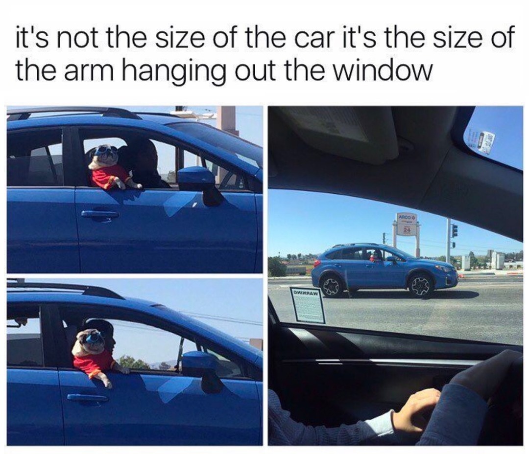 Size is subjective - Meme by schizoidman :) Memedroid