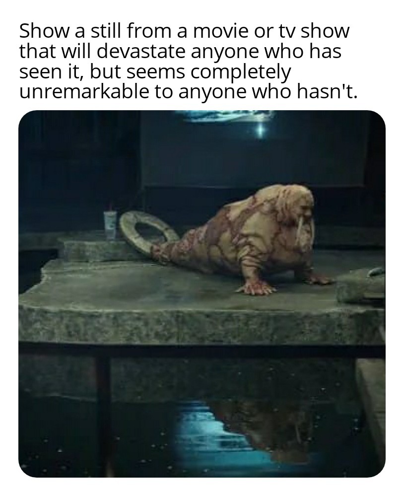 The best Tusk memes :) Memedroid