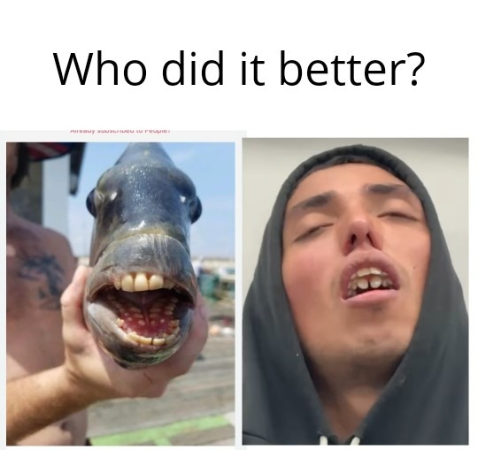 The best Sheepshead memes :) Memedroid