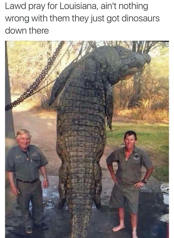 Dino - Meme by kademartian :) Memedroid