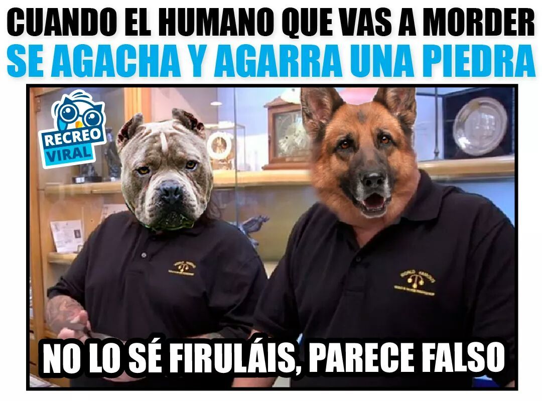 firulais - Meme subido por jucats1 :) Memedroid