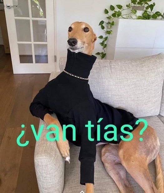 meme random - Meme by aristerv :) Memedroid