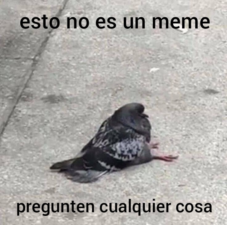 Top memes de Pregunta en español :) Memedroid