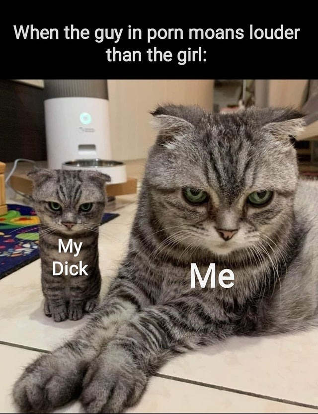 This pic is so funny - Meme by EZIDF :) Memedroid