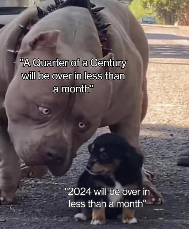 The Best 2024 Memes :) Memedroid