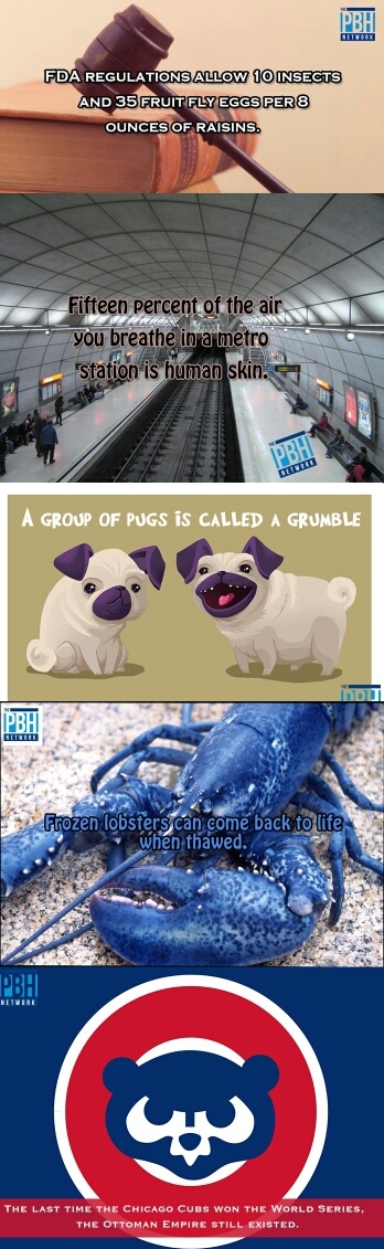 skin flakes - Meme by shzball :) Memedroid