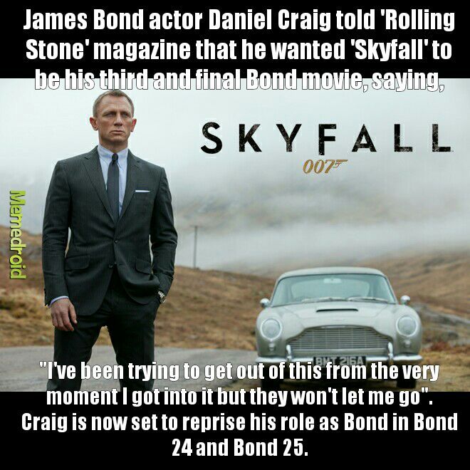 Skyfall Memes