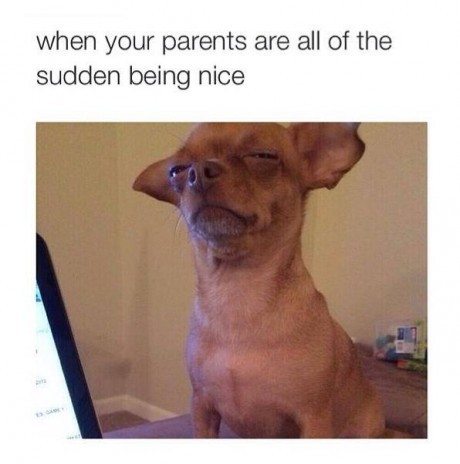 You have my curiosity.... - Meme by candyfarts :) Memedroid