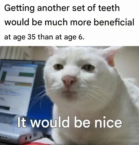 Teef Memes 773 Funny Dog Teeth Stock Photos, High Res Pictures, And