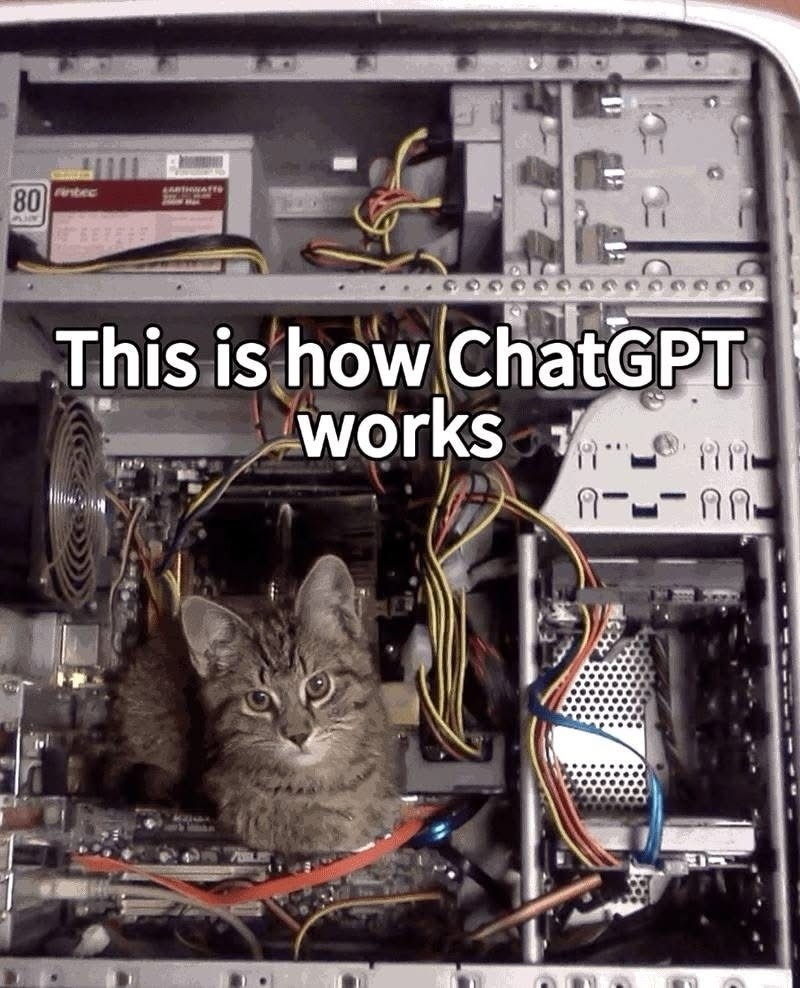 The best Chatgpt memes :) Memedroid