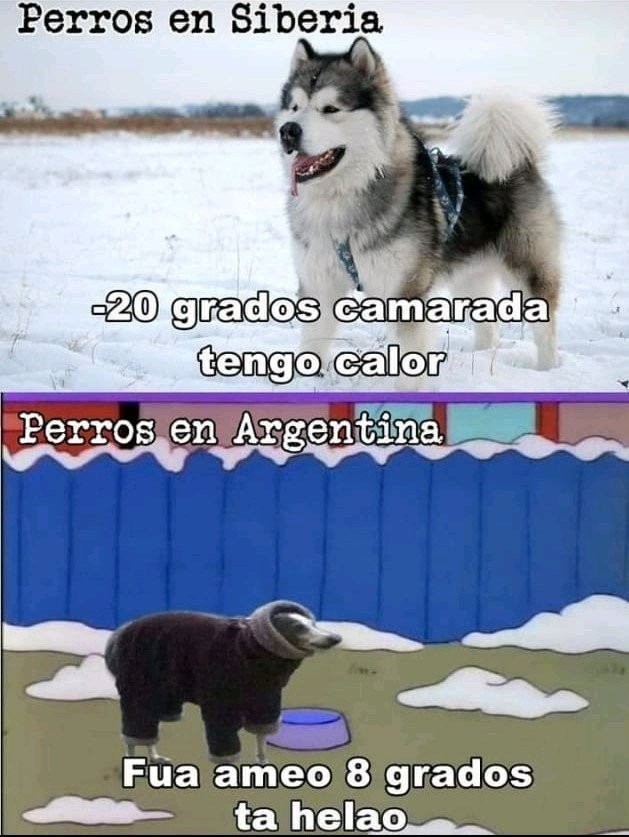 Ta elao - Meme subido por EL_QUE_TE_LA_METE3 :) Memedroid