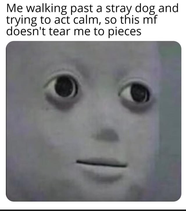 Latest memes / New memes :) Memedroid