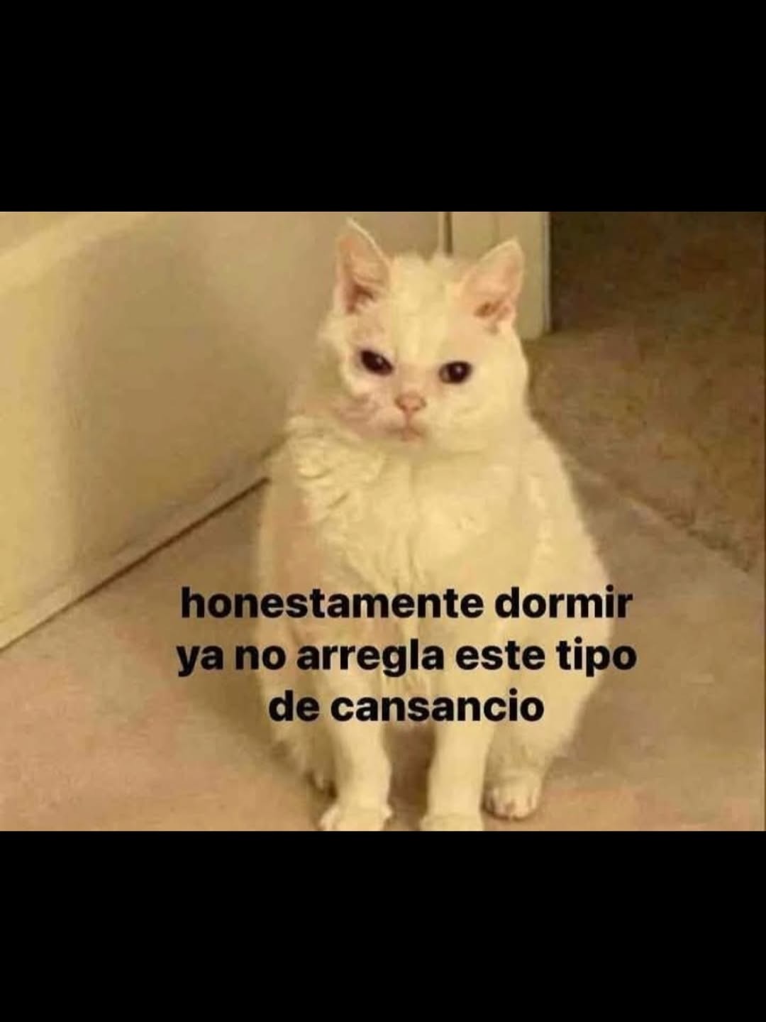 Top memes de Cansancio en español :) Memedroid