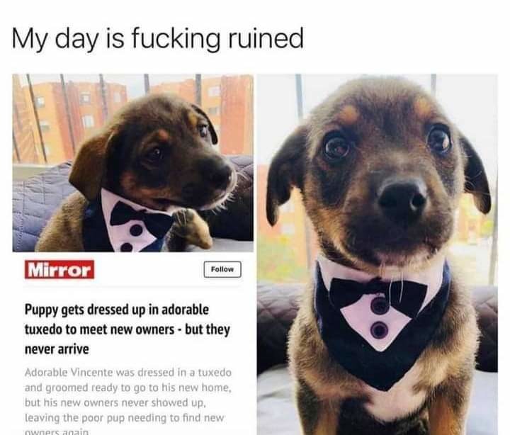 Well darn - Meme by YourOtherLeft :) Memedroid