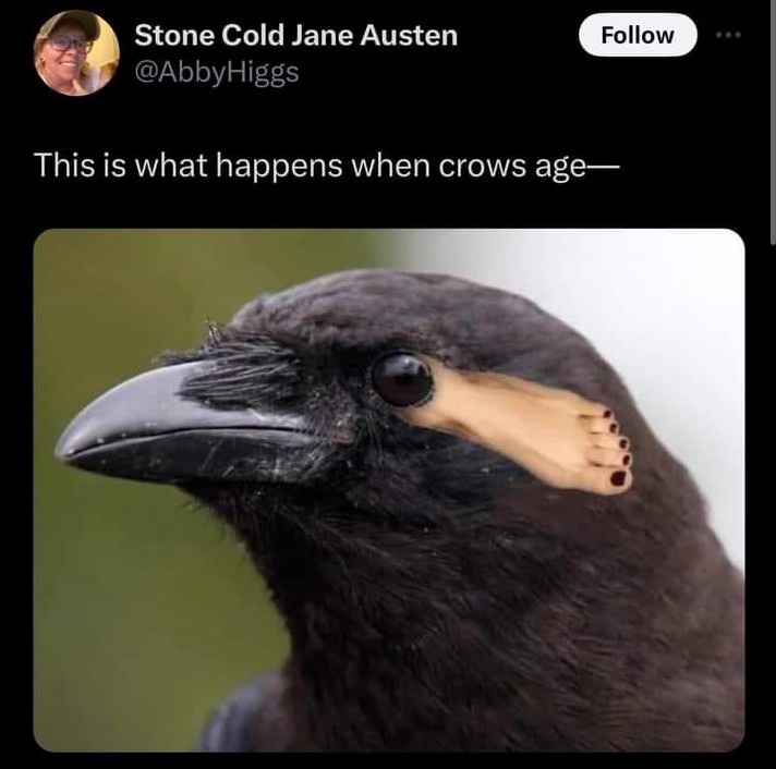 Latest memes / New memes :) Memedroid