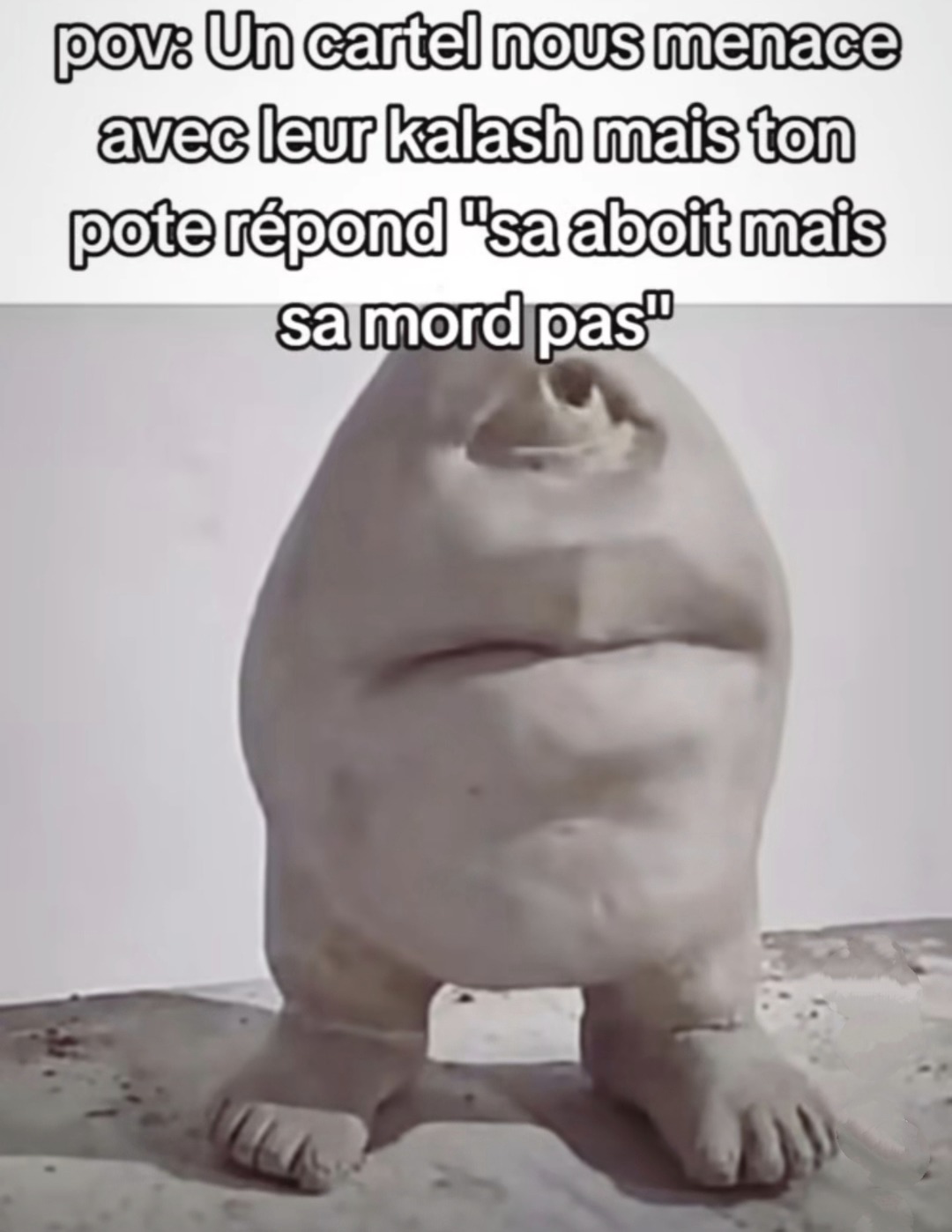 Meilleurs Memes De Chat