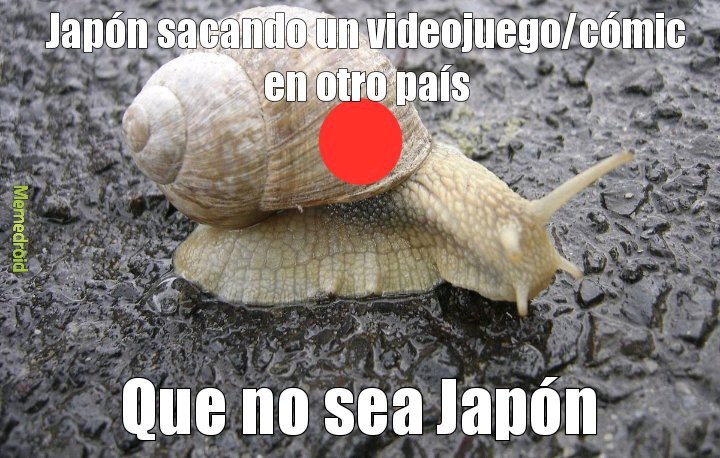 Aproveche que el caracol era blanco - Meme subido por Argelino-mata ...