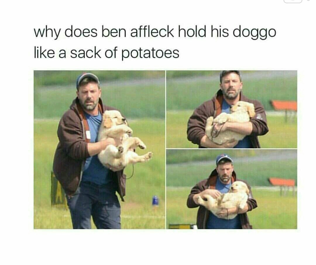 Poor doggo - Meme by Tweet :) Memedroid