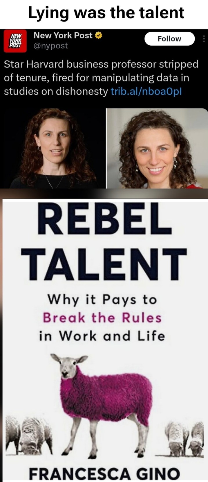 The best Harvard memes :) Memedroid