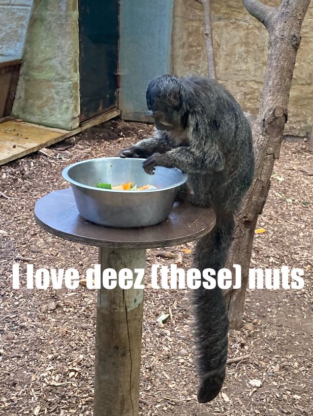 Latest memes / New memes :) Memedroid