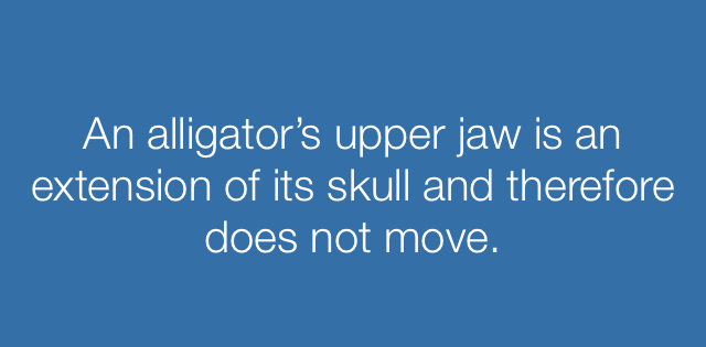 Haha wat a nerd - Meme by Trimmer25 :) Memedroid