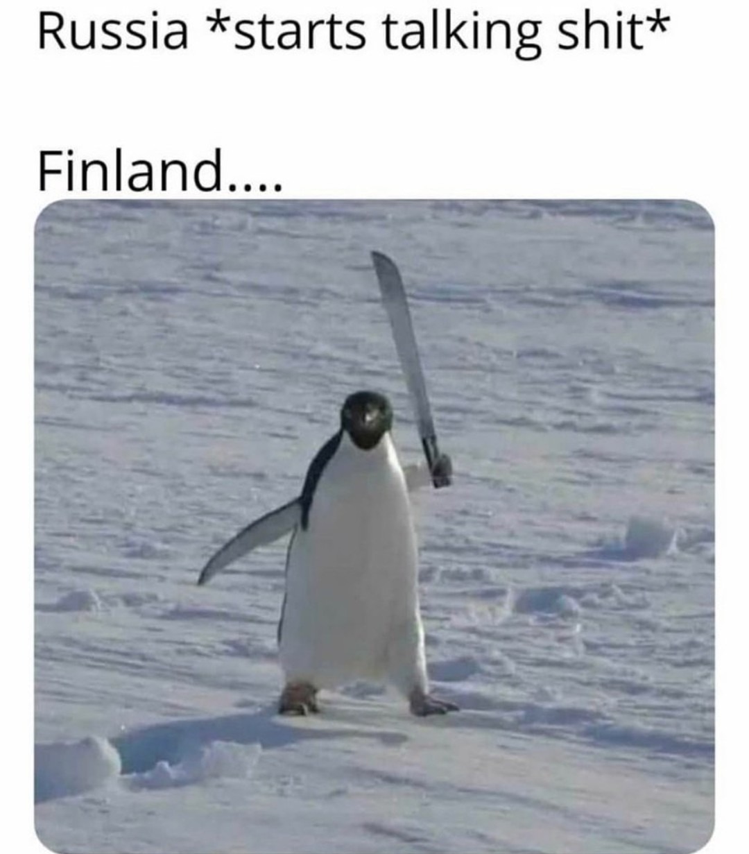 Fins in their natural habitat - Meme by BobSAGGIT :) Memedroid