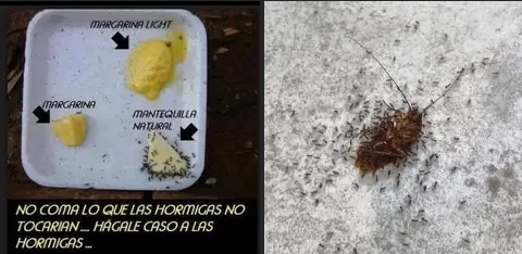 El futuro de la nutrición - Meme by _Memes_facheros_ :) Memedroid