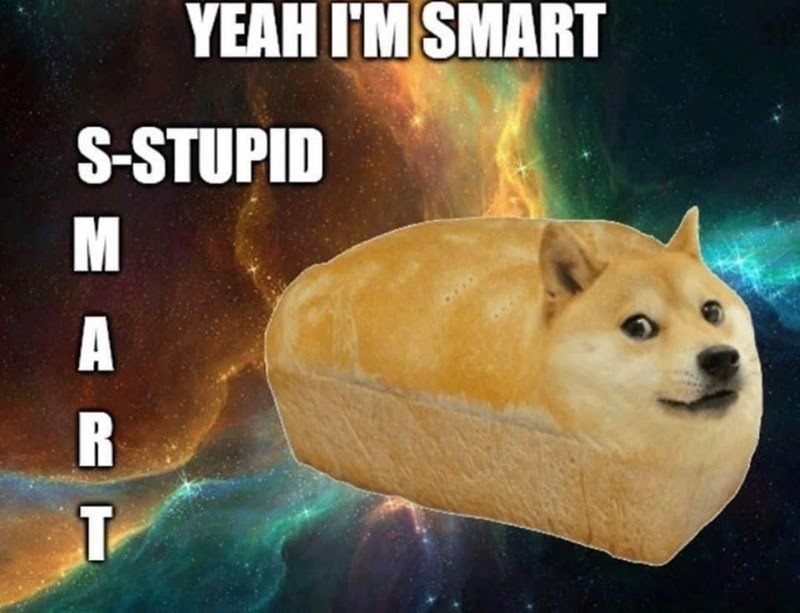 Latest memes / New memes :) Memedroid