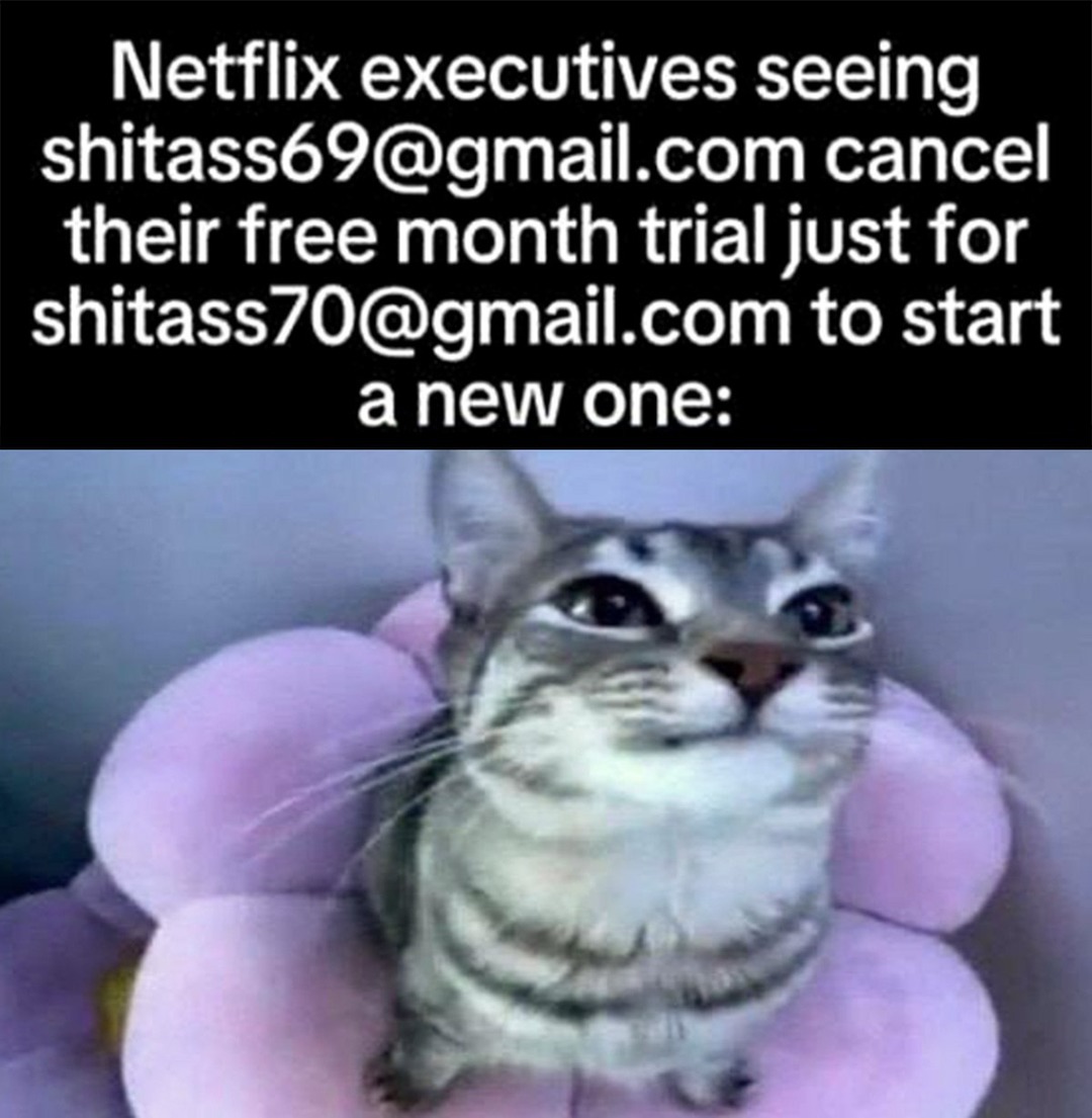 The best Netflix memes :) Memedroid