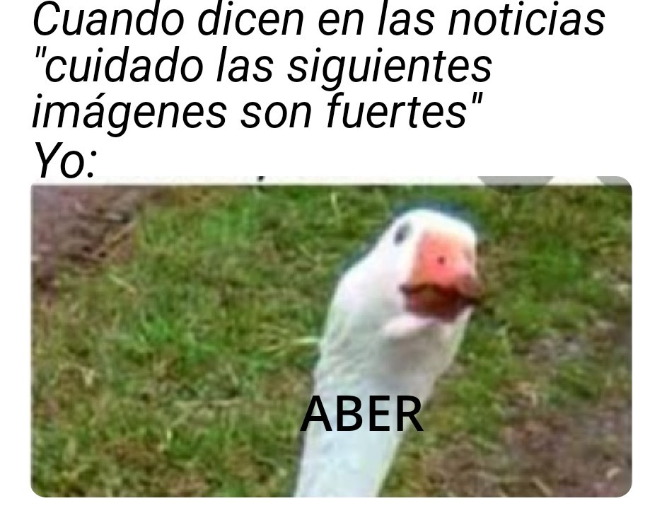 Patos - Meme subido por The82 :) Memedroid