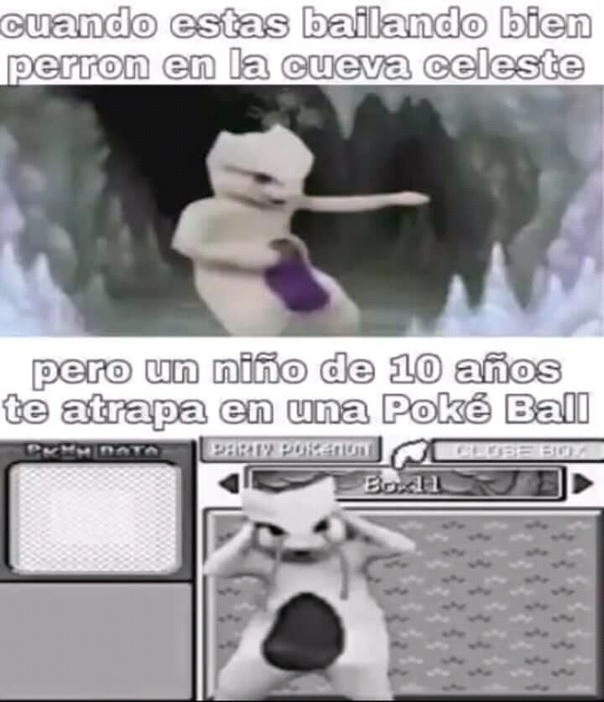 Top memes de mewtwo en español :) Memedroid