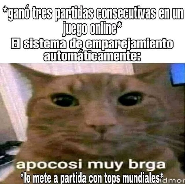 meme gato gamer - Meme subido por Holaqtalbien :) Memedroid