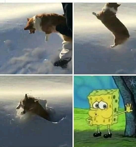 Ufa - Meme subido por jhonataskhan :) Memedroid