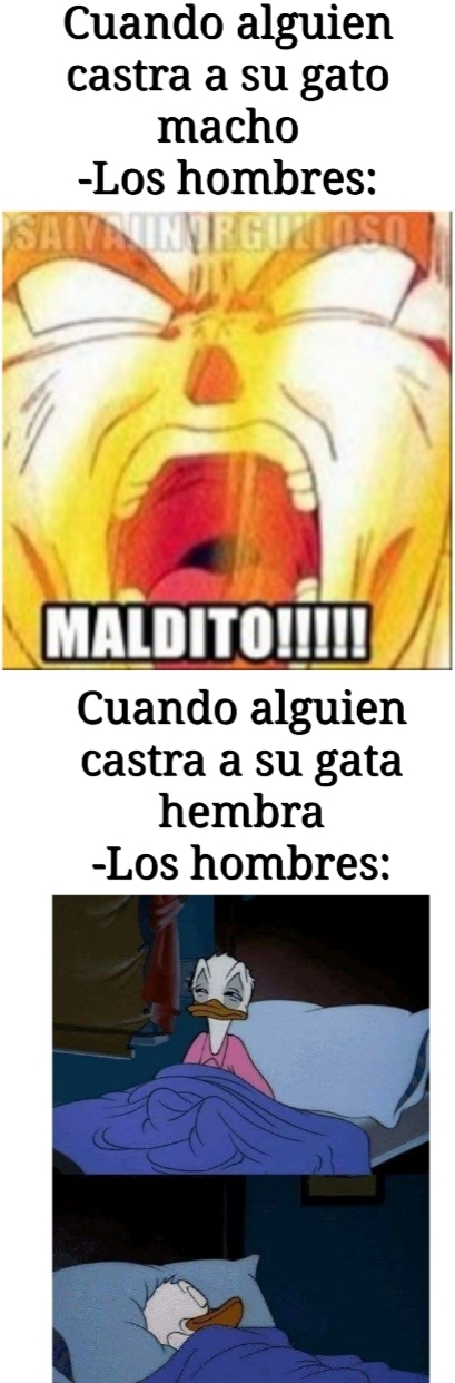 Piensan que las hembras no sufren pedazos de machirules - Meme subido ...
