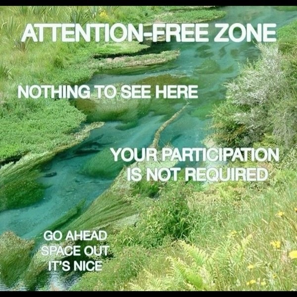 The Latest Memes :) Memedroid