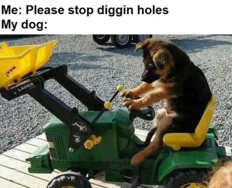 Latest memes / New memes :) Memedroid