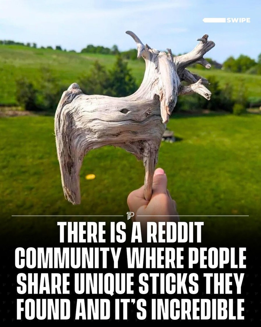 The best Lmao memes :) Memedroid