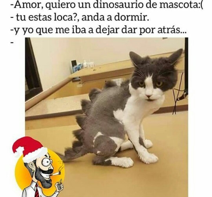 Inbox - Meme subido por Jjack :) Memedroid