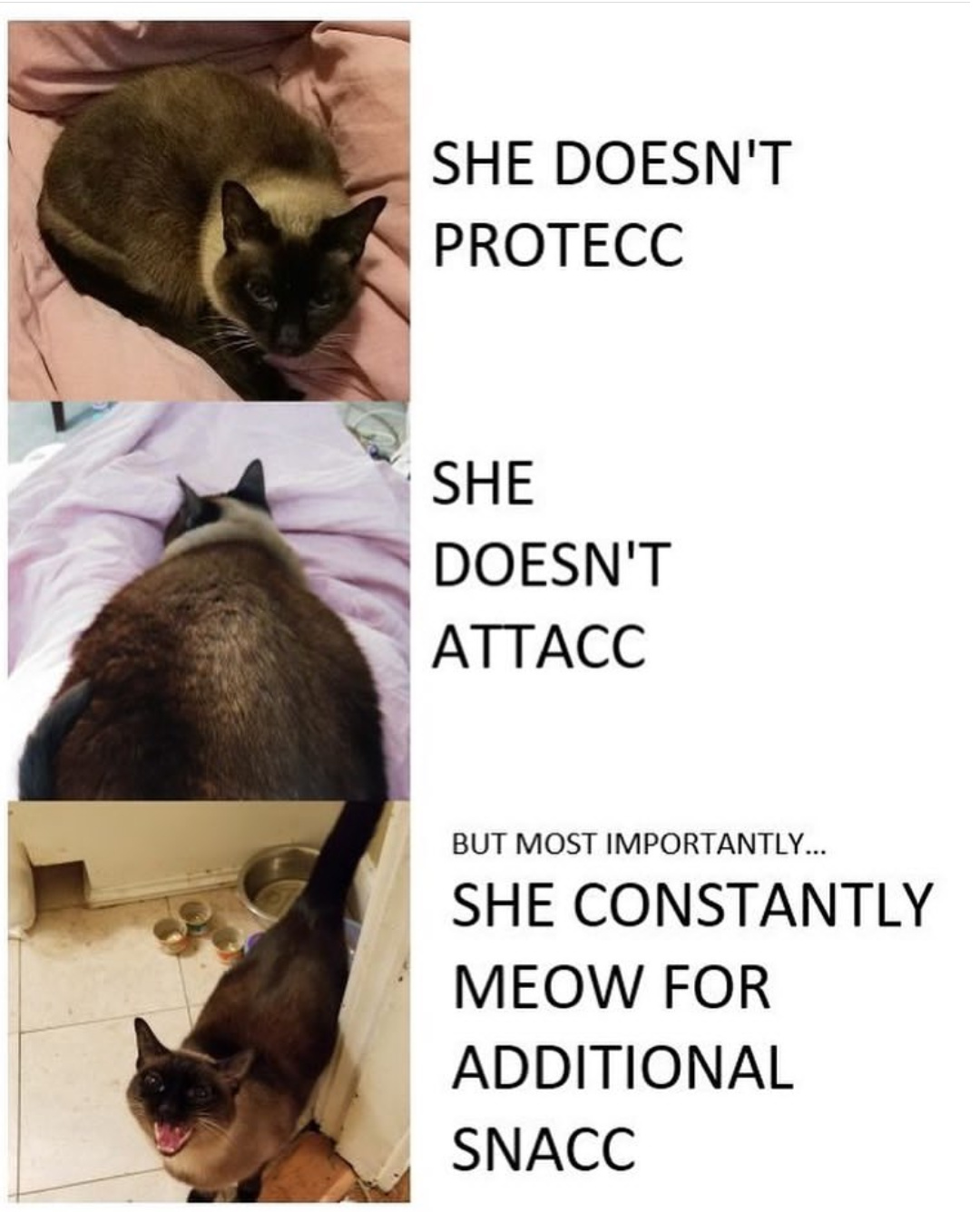 T - Meme by Andrei779 :) Memedroid