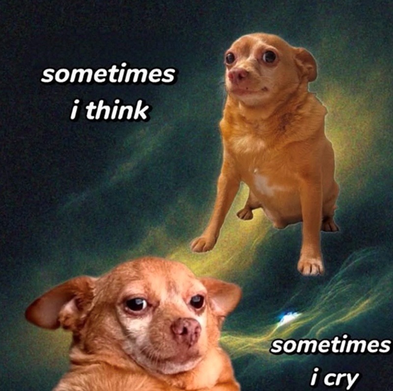 The best Overthinking memes :) Memedroid