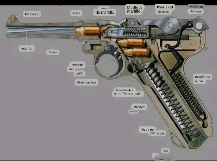 Últimos memes :) Memedroid