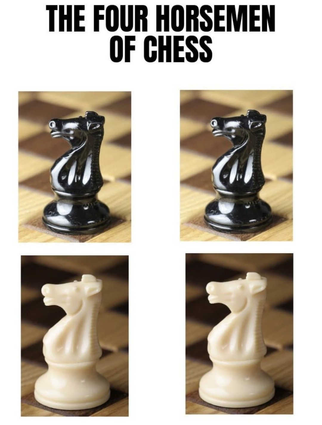 The best Chess memes :) Memedroid
