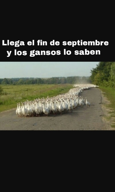 carlos1599 :) Memedroid