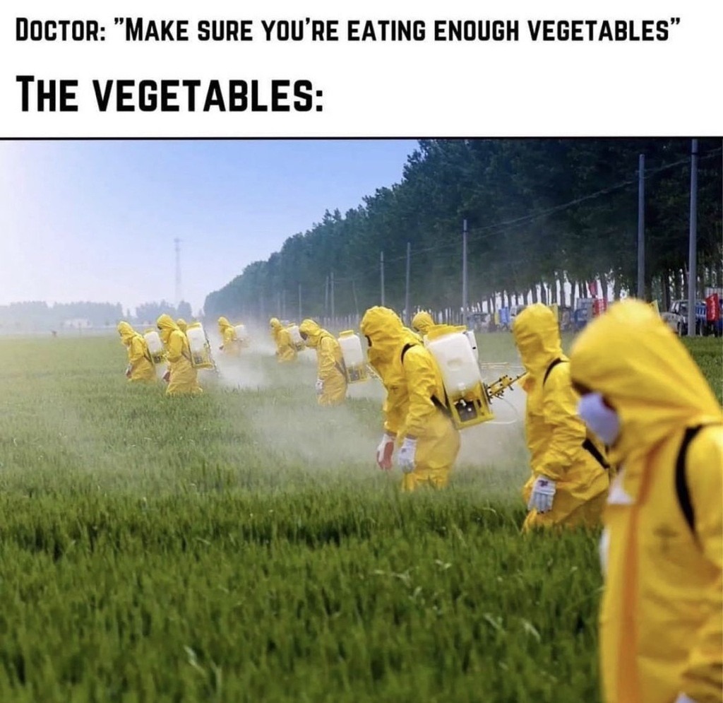 Latest memes / New memes :) Memedroid