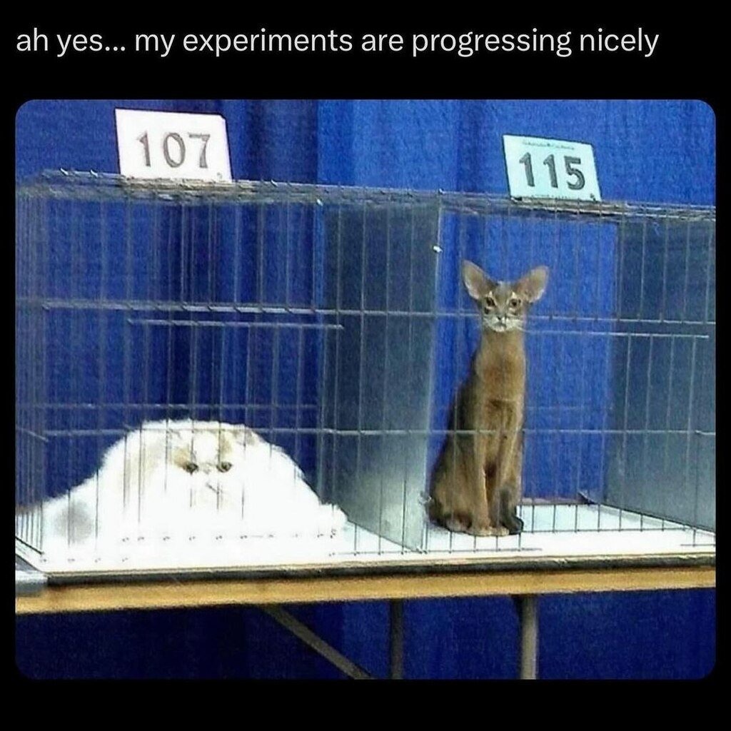 Latest memes / New memes :) Memedroid