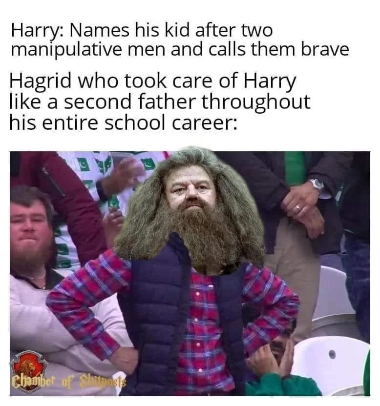 The best Hagrid memes :) Memedroid
