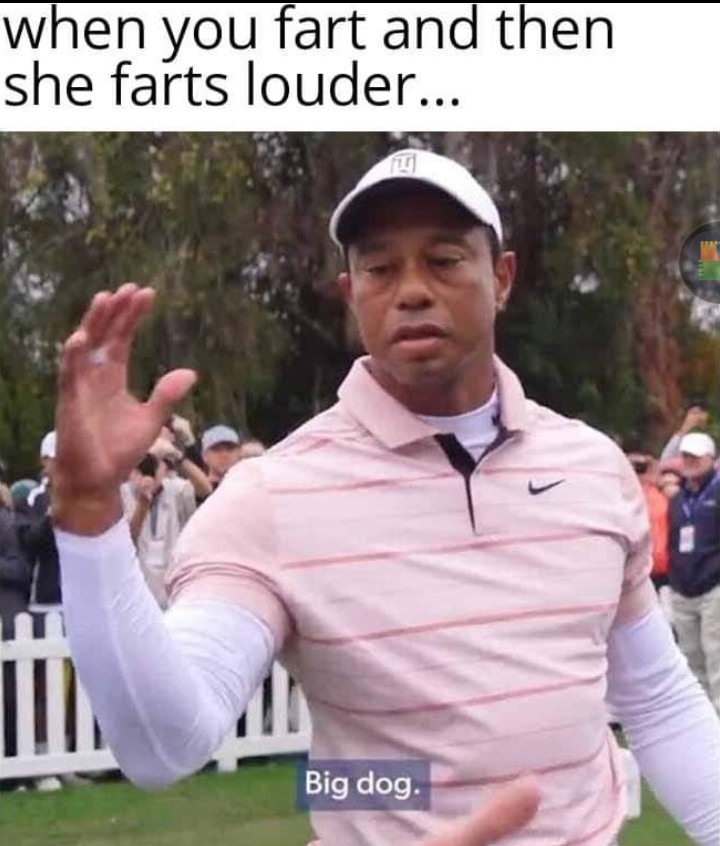 Memedroid - The best site to see, rate and share funny memes and pics!