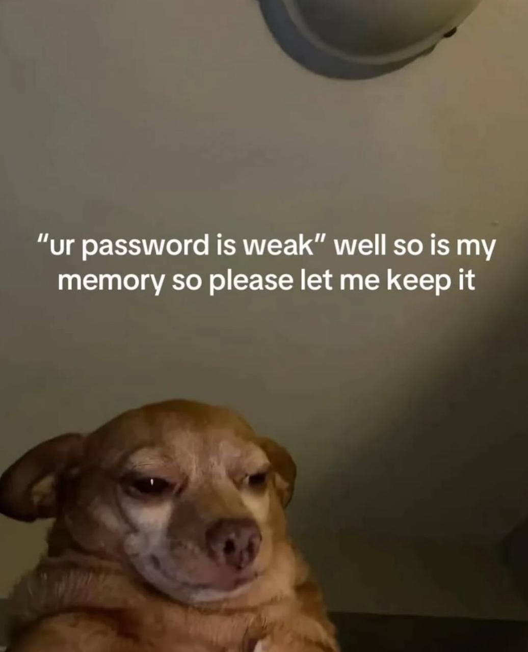The best Password memes :) Memedroid